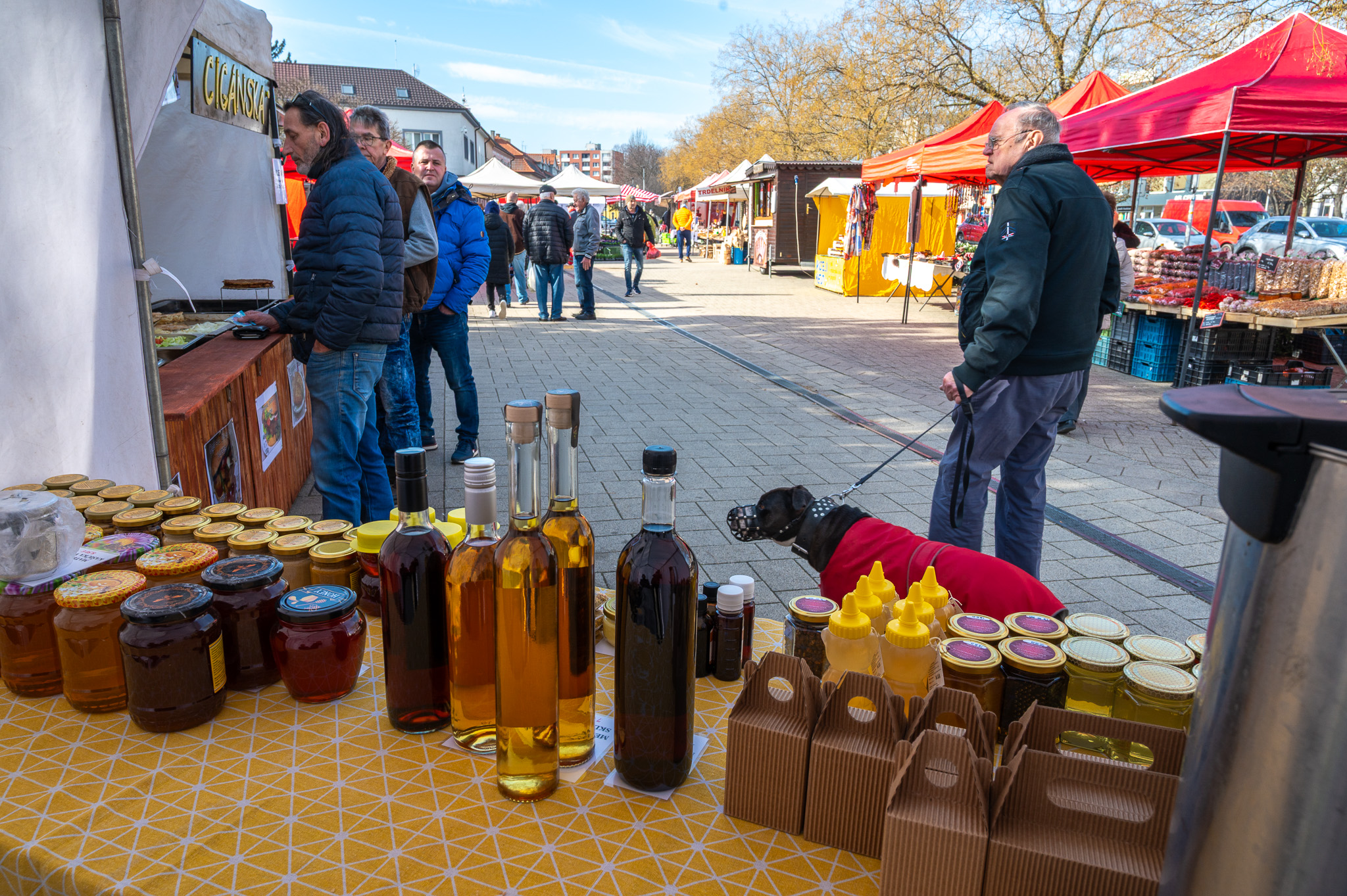 Farmárske trhy na námestí | Senec